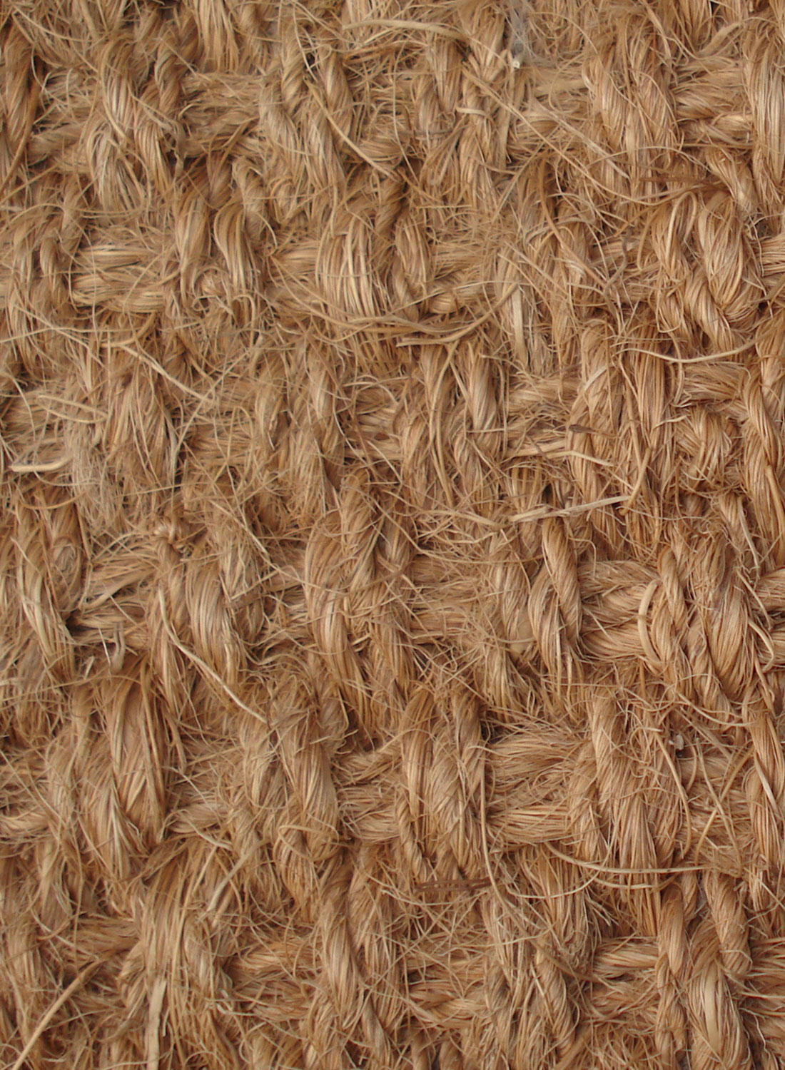 Tapis coco - les bons plans de Micromonde